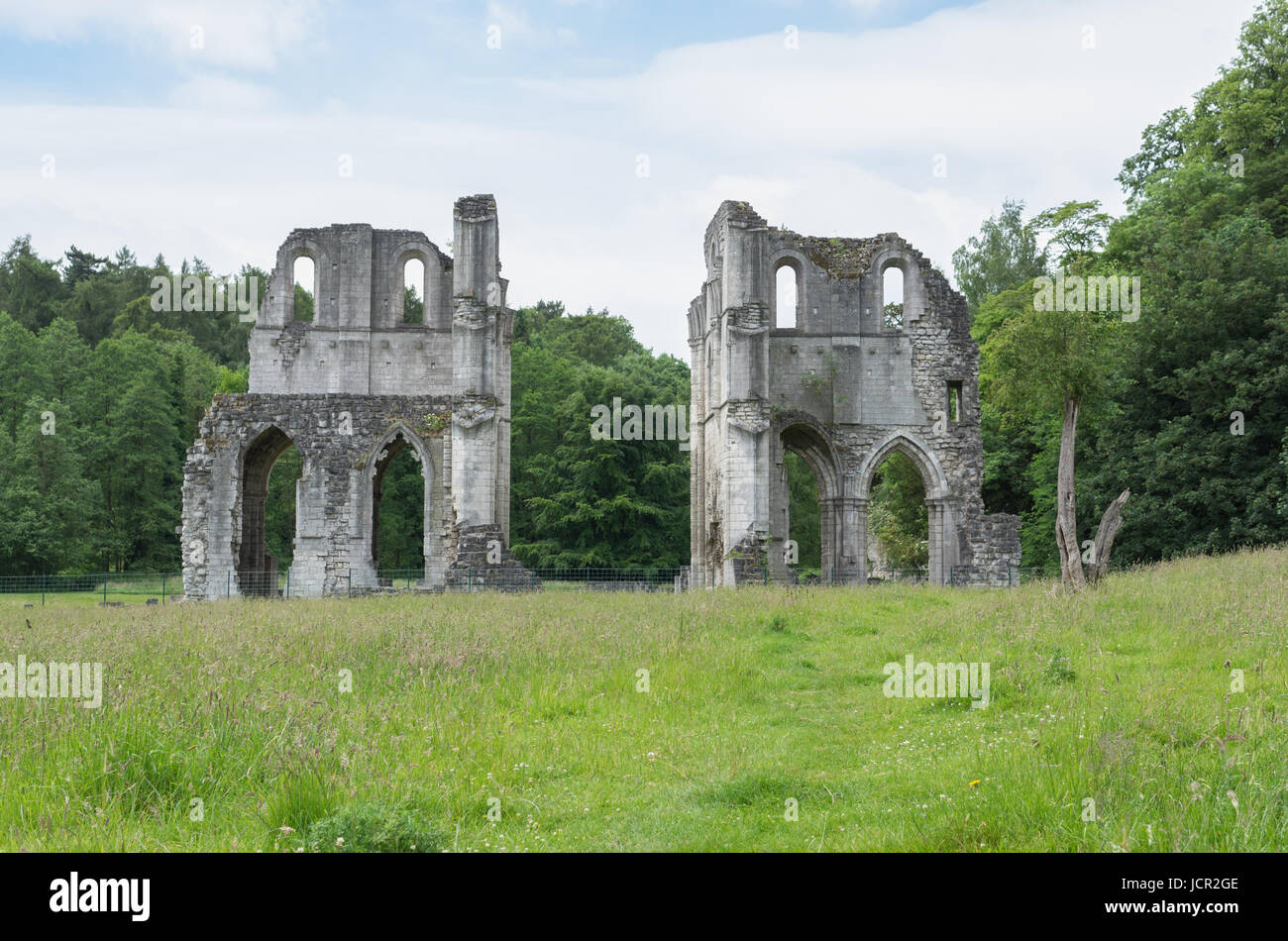 The Ruins of Roche Abbey, Maltby, Rotherham, England Stock Photo - Alamy