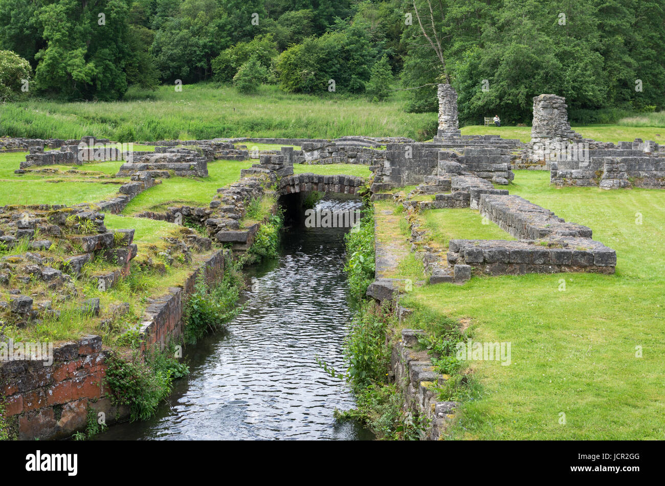 The Ruins of Roche Abbey, Maltby, Rotherham, England Stock Photo - Alamy