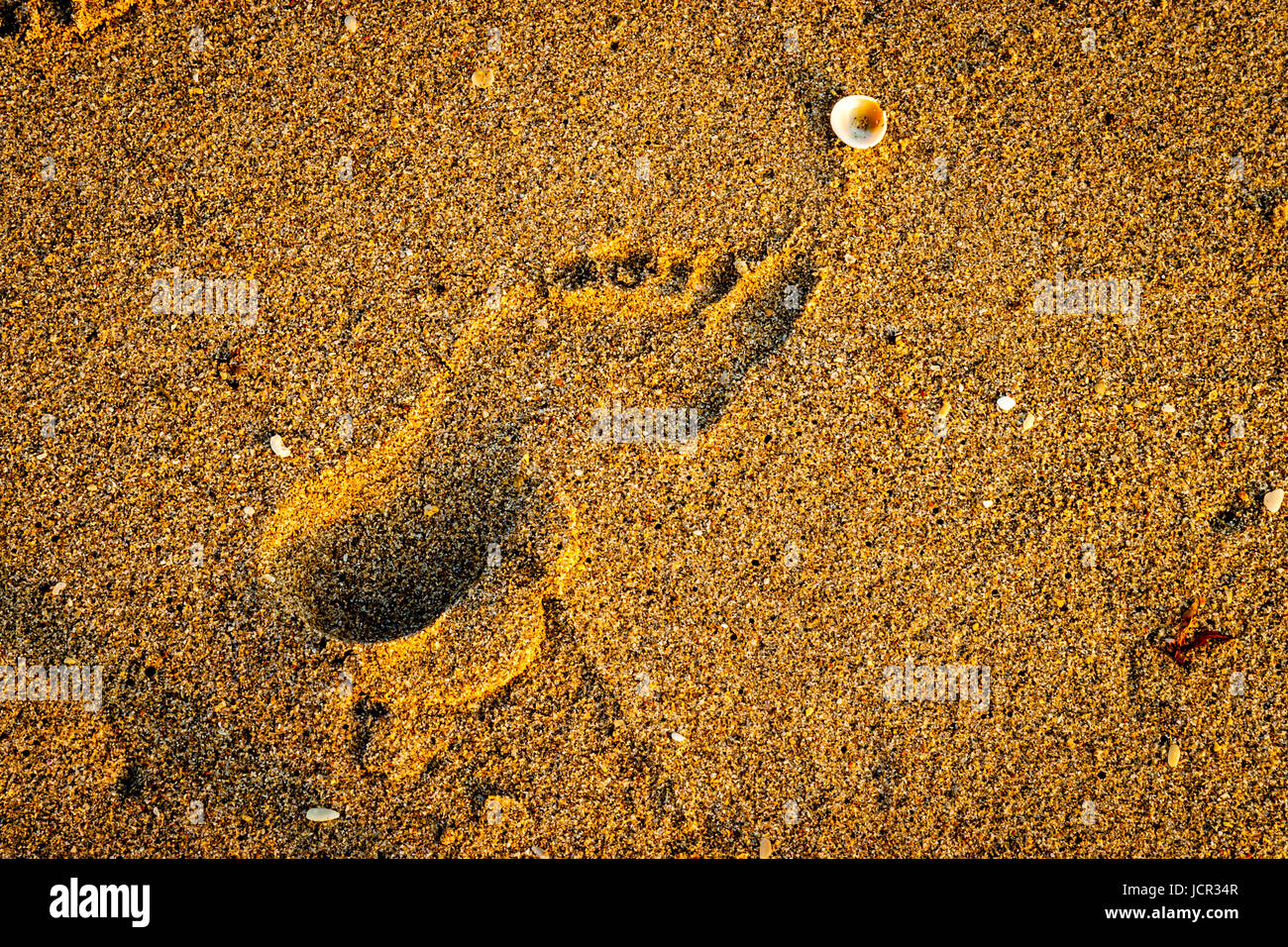 One Footprint in the Sand Stock Photo - Alamy