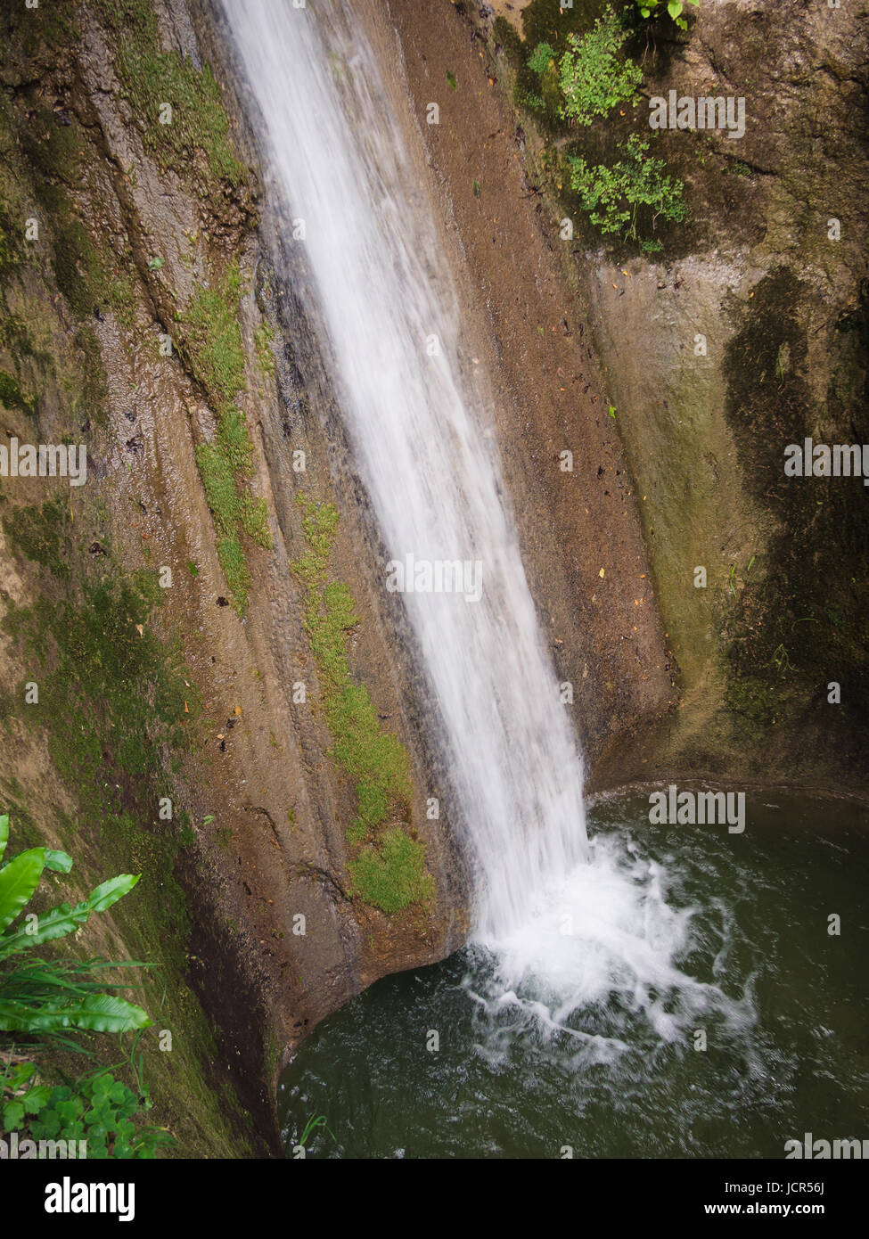 Cascade of a mountain stream in the forest Stock Photo - Alamy
