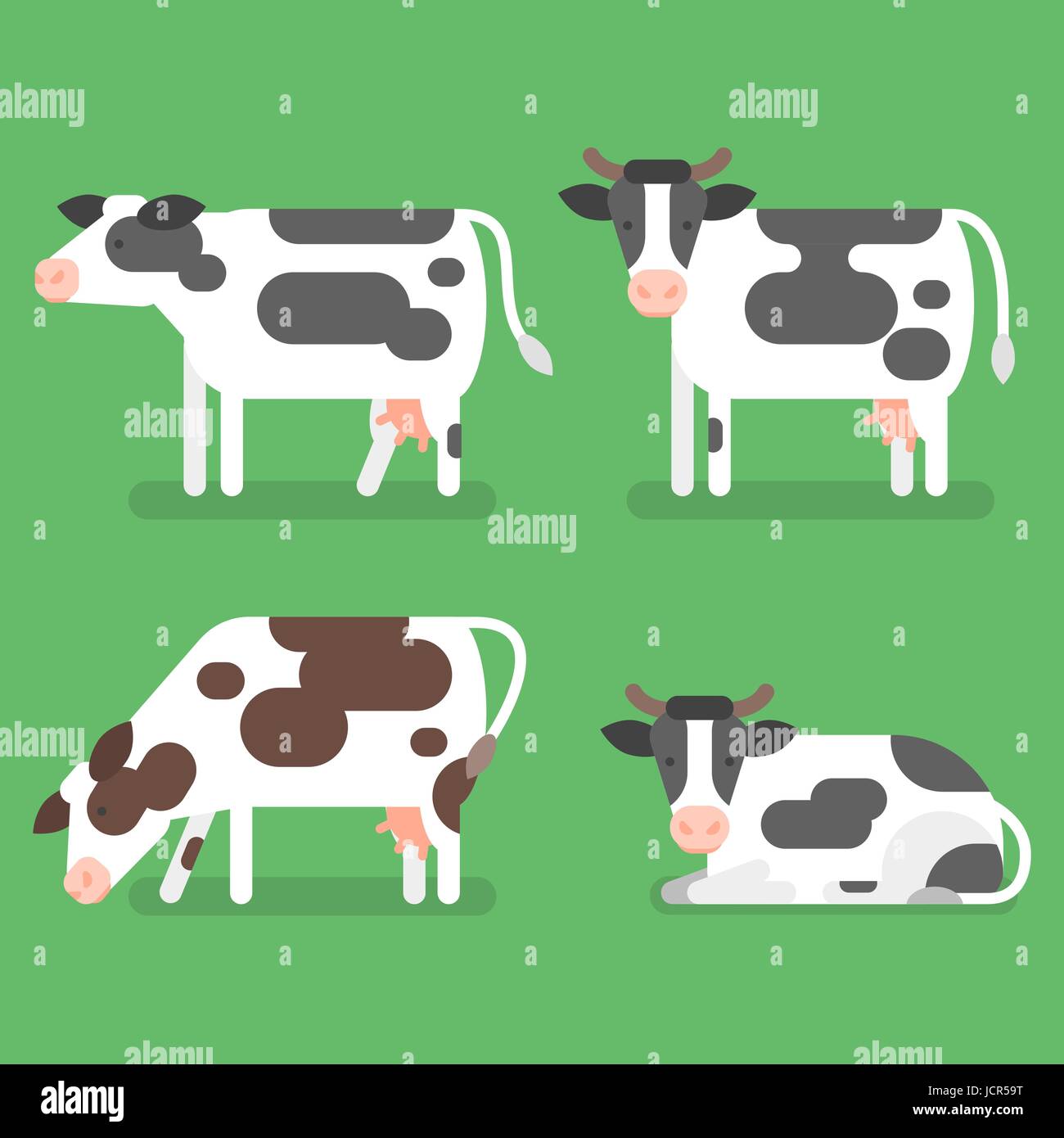 Vector flat style set of cow. Isolated on green background. Icon for ...