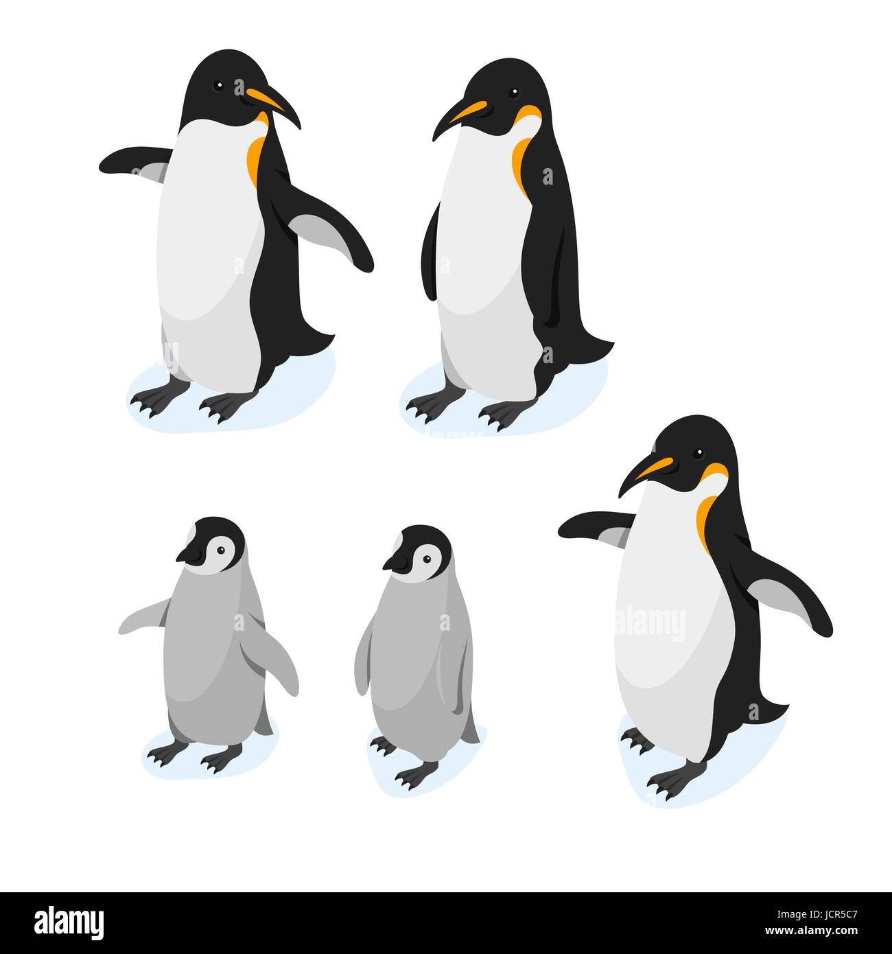 Isometric 3d vector realistic style set of penguins. Isolated on white ...