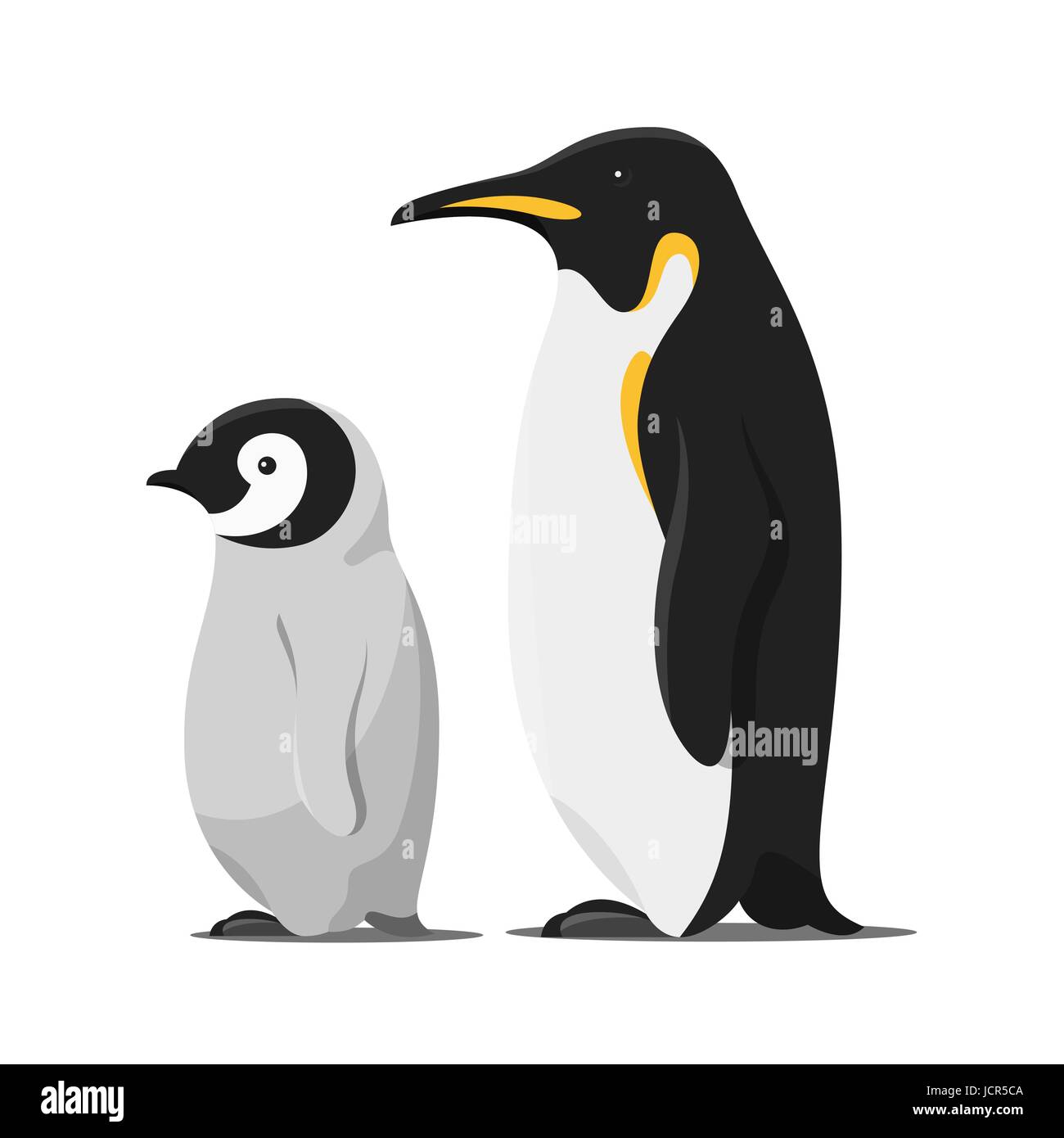 Vector cartoon style illustration of two penguins. Isolated on white ...