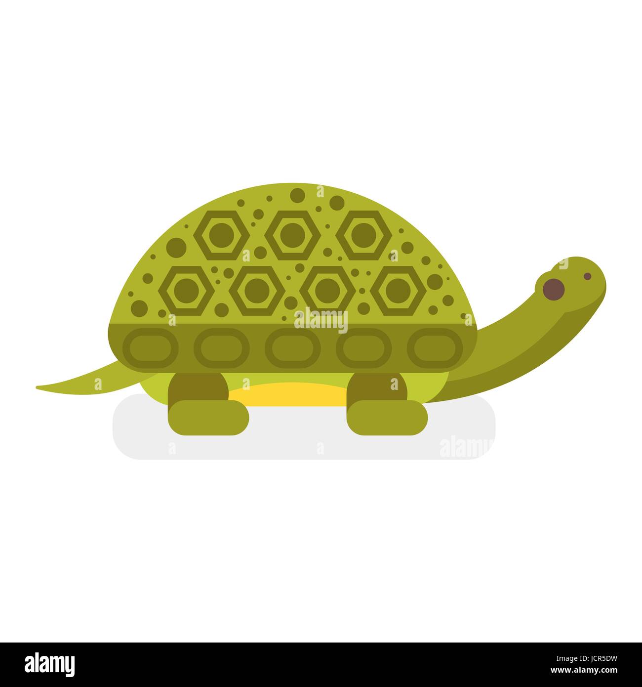 Vector flat style illustration of turtle. Icon for web. Isolated on ...