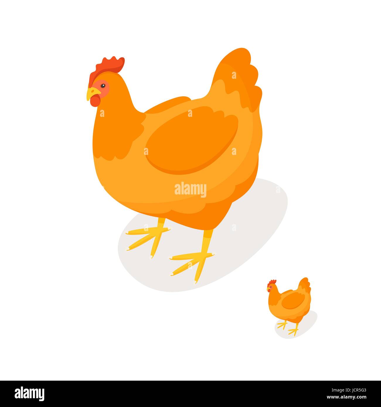 Isometric 3d vector illustration of chicken. Front view. Icon for web ...