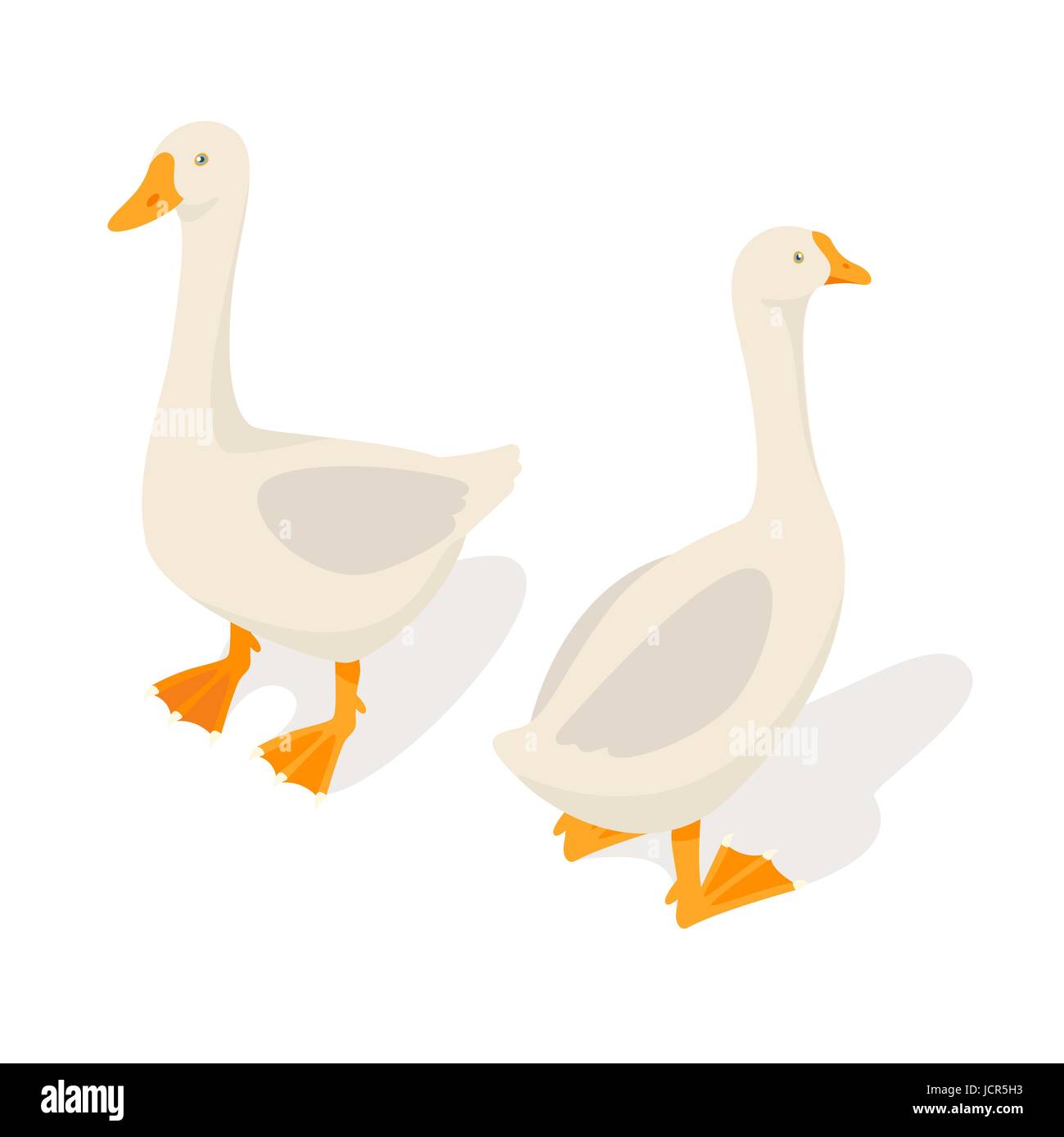 Back view goose bird Stock Vector Images - Alamy