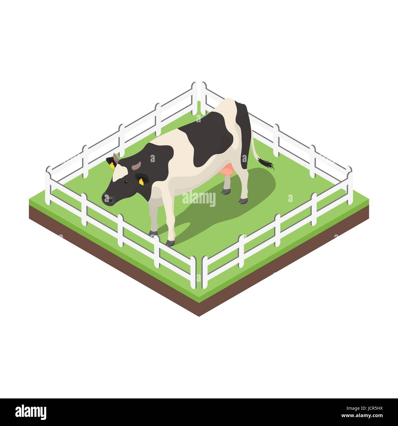 Isometric 3d vector illustration of cow. Icon for web. Isolated on ...