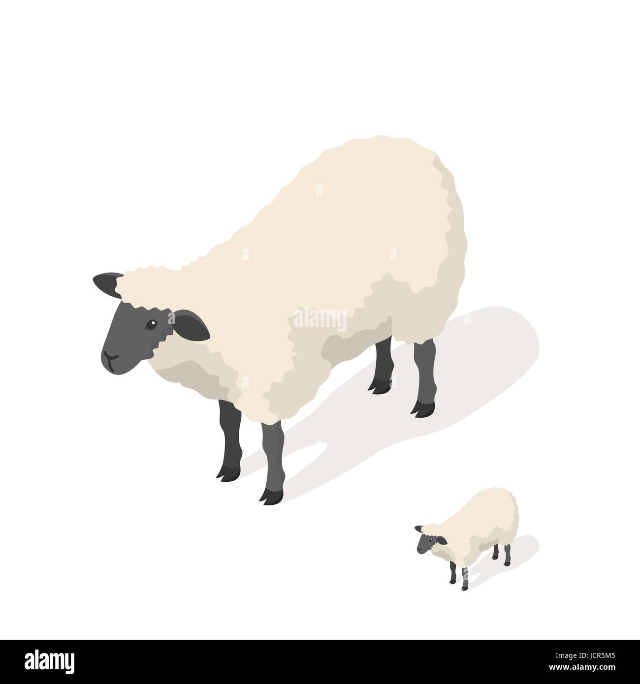 Isometric 3d vector illustration of sheep isolated on white background ...