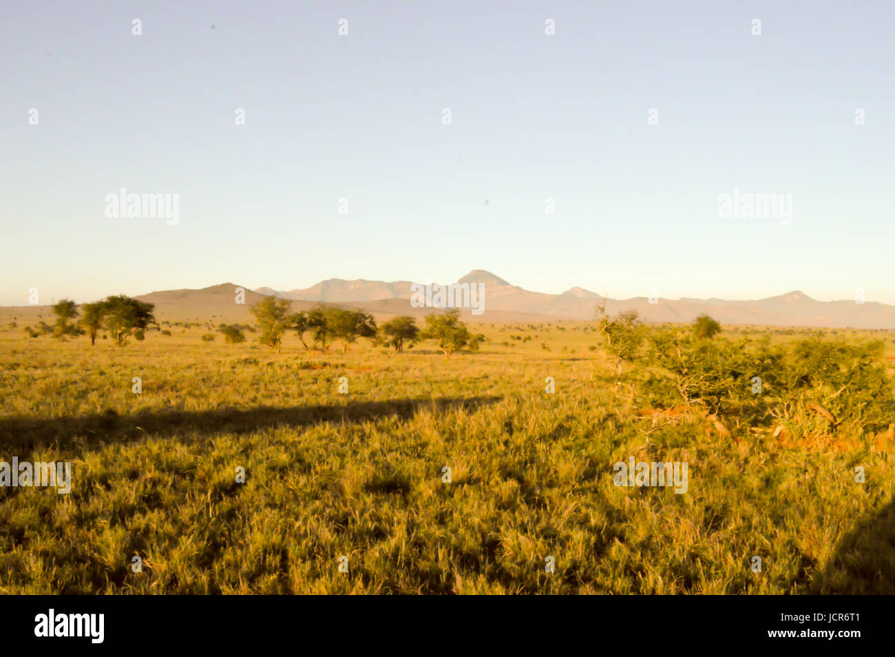 View of the Tsavo East savannah in Kenya with the mountains in the ...