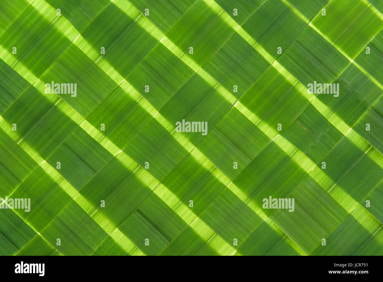 Woven spring green grass as a pattern and texture background Stock ...