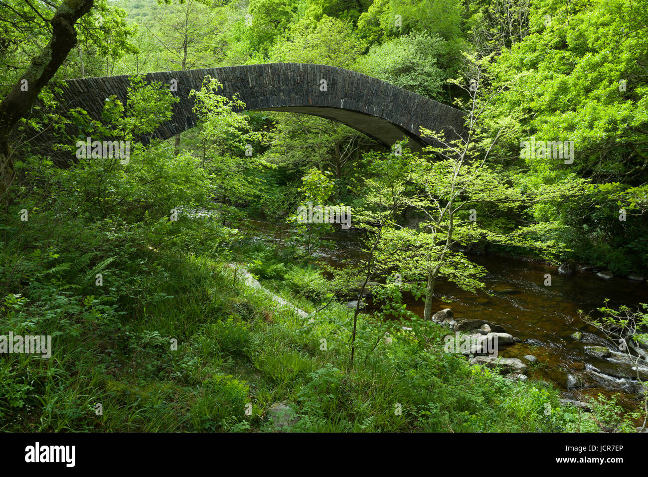 Chiselcombe Bridge over the East Lyn River downstream from Watersmeet ...