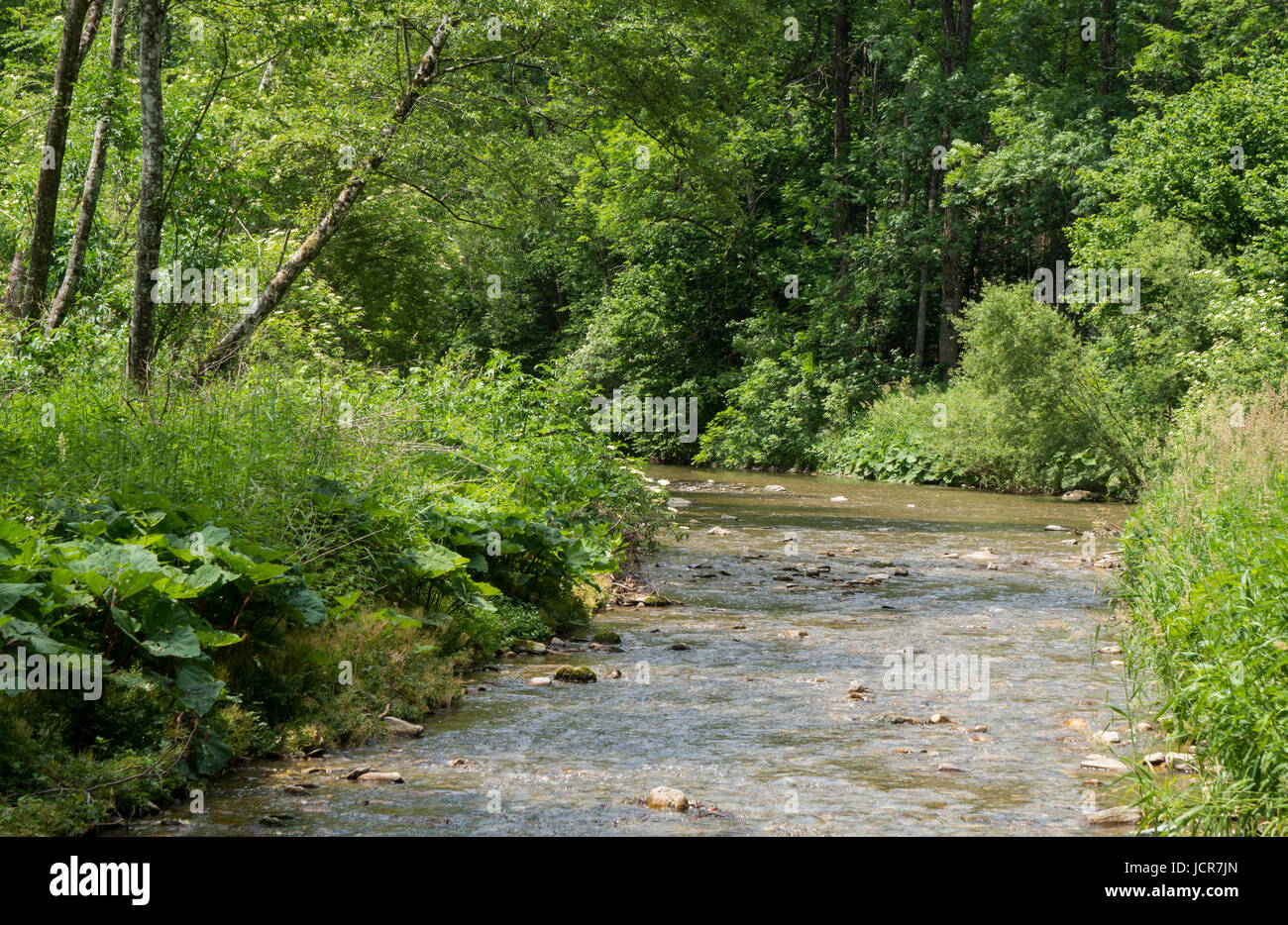 River Raba Raab High Resolution Stock Photography and Images - Alamy