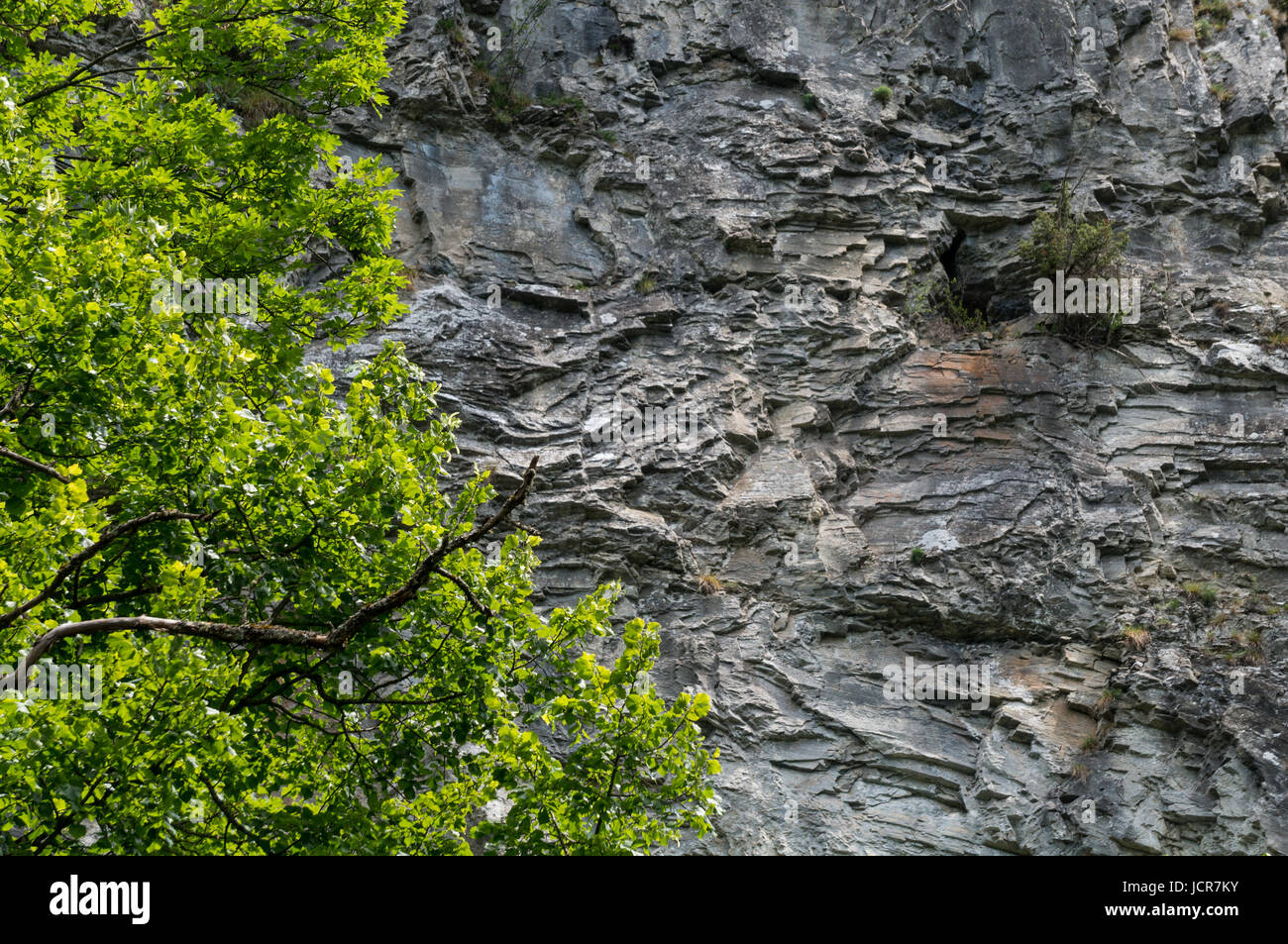 Rock pattern in the Raab river gorge Stock Photo - Alamy