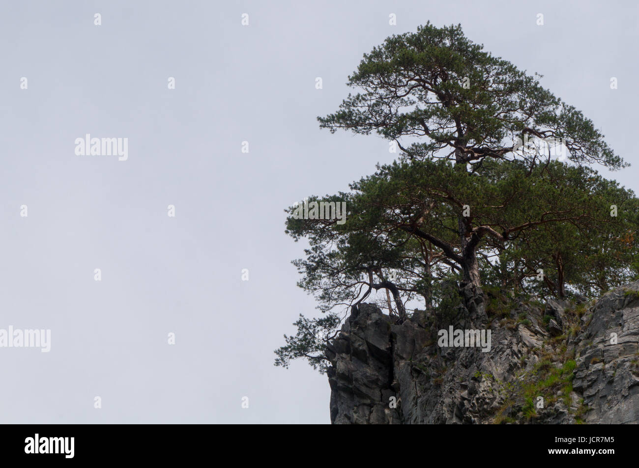 Pine cliff resort hi-res stock photography and images - Alamy