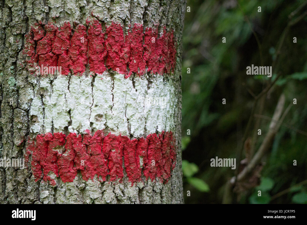 Hiking path marking in Austria Stock Photo - Alamy