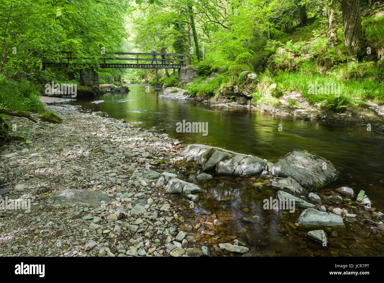 Ash Bridge over the East Lyn River in Barton Wood in Exmoor National ...