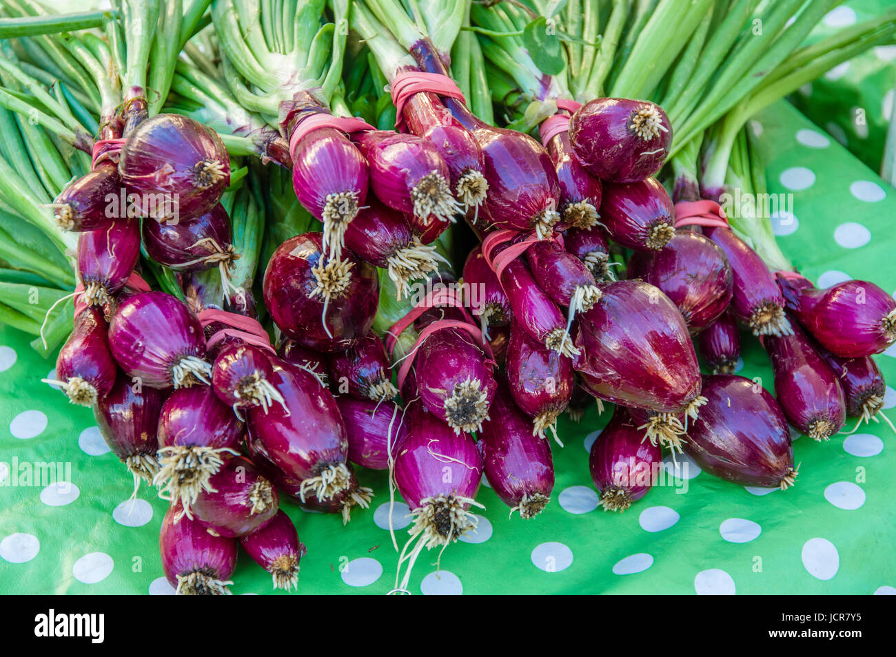 Bunches of fresh red onions at the local market Stock Photo - Alamy