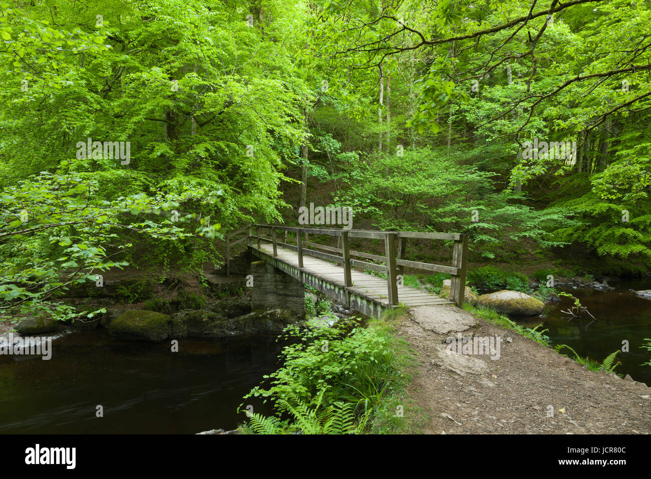 Ash Bridge over the East Lyn River in Barton Wood in Exmoor National ...