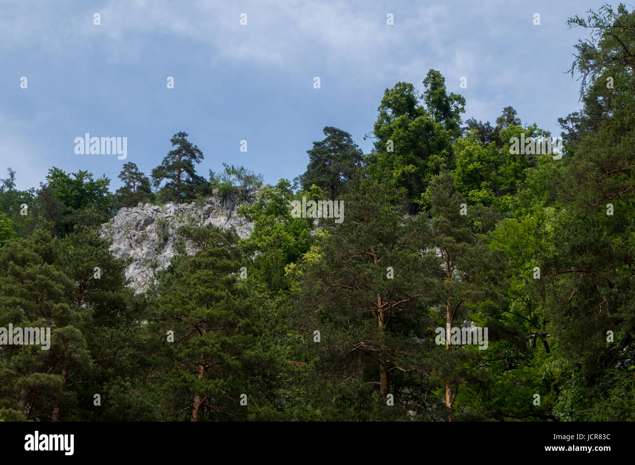 The cliffs of the Raab river gorge Stock Photo - Alamy