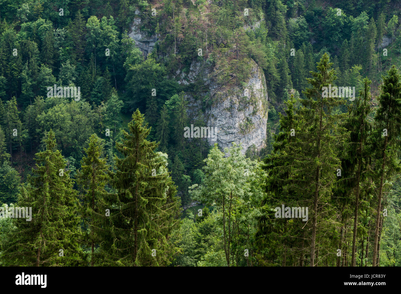 Raab River High Resolution Stock Photography and Images - Alamy