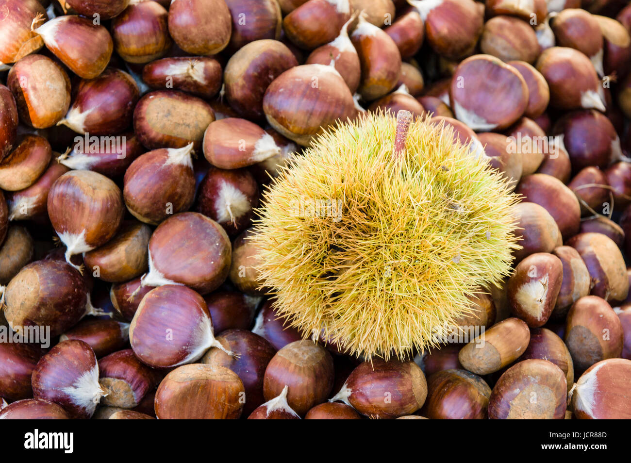 Healthy chestnuts hi-res stock photography and images - Alamy
