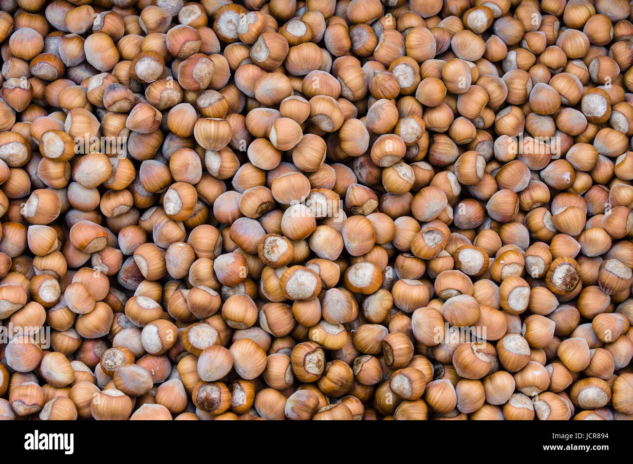 Harvest of hazelnuts hi-res stock photography and images - Alamy
