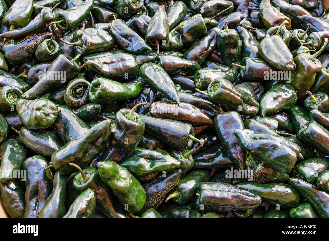Poblano peppers hi-res stock photography and images - Alamy