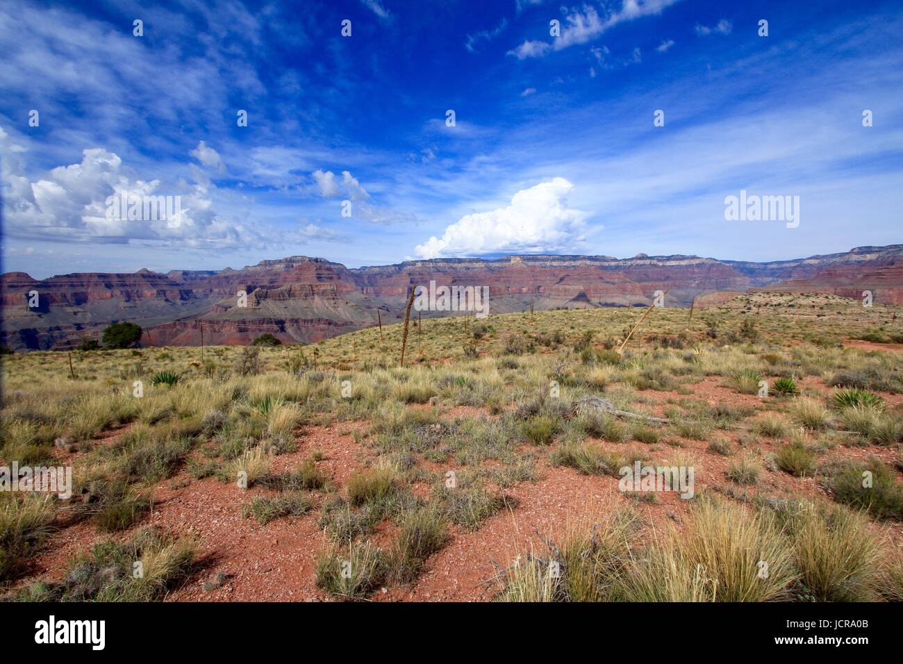 Grand Canyon desert landscape Stock Photo - Alamy