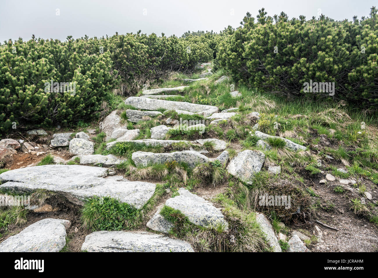 Stone Paths to Highlands. Tatra Mountains - Slovakia Stock Photo - Alamy