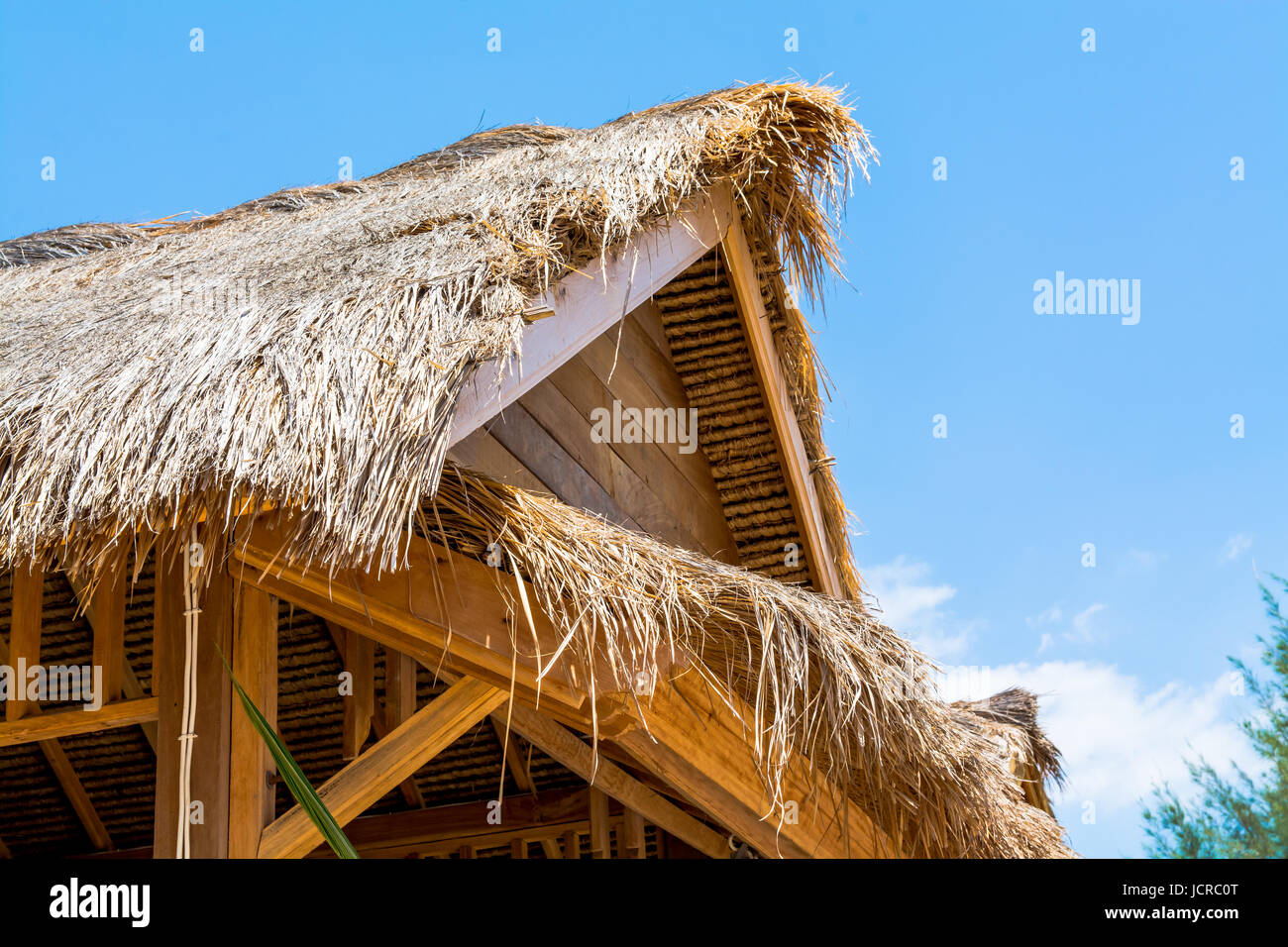 Low Angle View of Traditional Thatched Roof House Stock Photo - Alamy