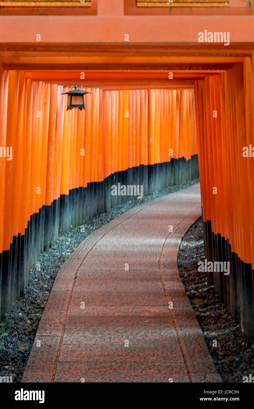 Fushimi Inari shinto shrine, Kyoto, path of torii Stock Photo - Alamy