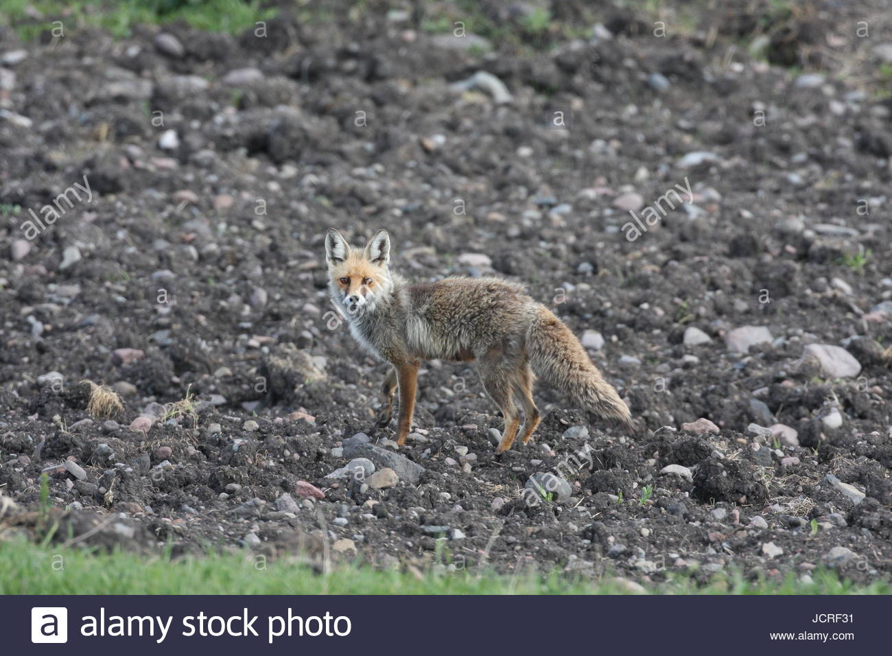 Kars Turkey Stock Photos & Kars Turkey Stock Images - Alamy