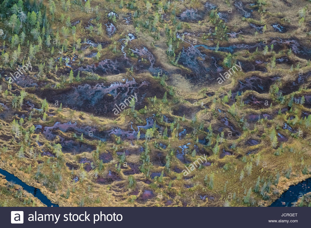 String Bog Stock Photos & String Bog Stock Images - Alamy