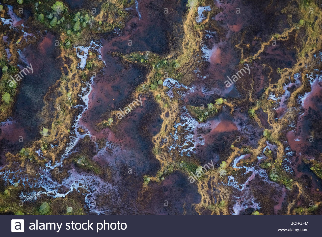 String Bog Stock Photos & String Bog Stock Images - Alamy