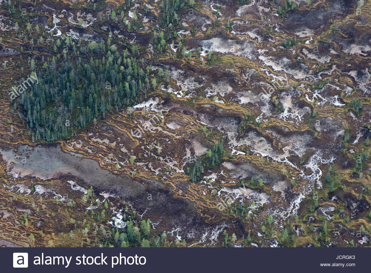 String Bog Stock Photos & String Bog Stock Images - Alamy