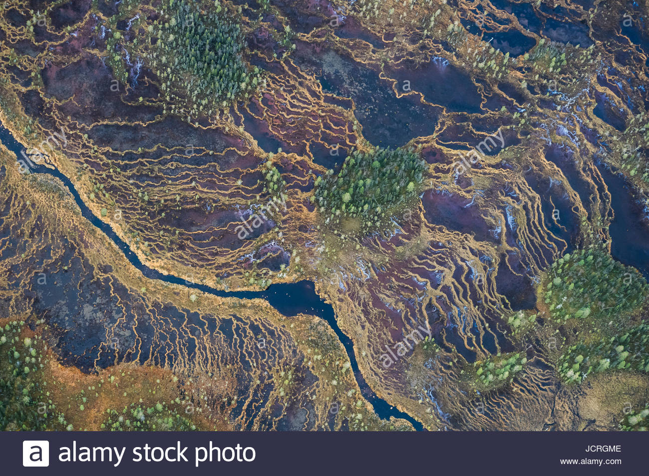 Swedish Forests Stock Photos & Swedish Forests Stock Images - Alamy