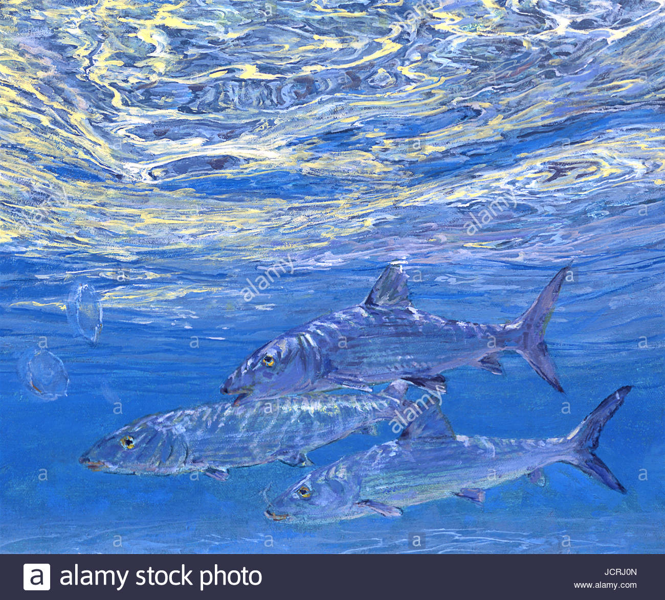 Three bonefish reflecting hi-res stock photography and images - Alamy