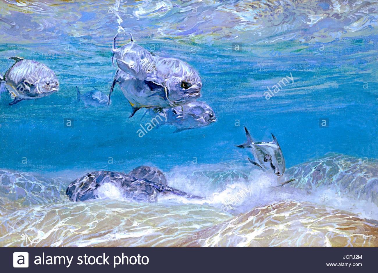 Jack fish hi-res stock photography and images - Alamy