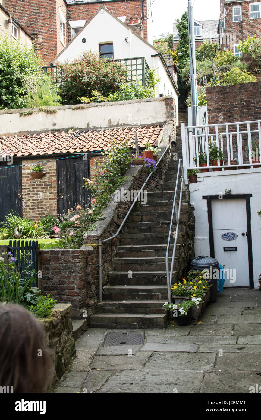 Blackburns Yard at Whitby, North Yorkshire, UK Stock Photo - Alamy