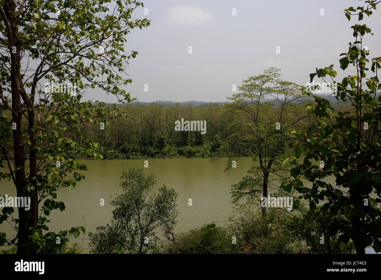 Kaptai National Park, Kaptai, Rangamati,Bangladesh Stock Photo - Alamy