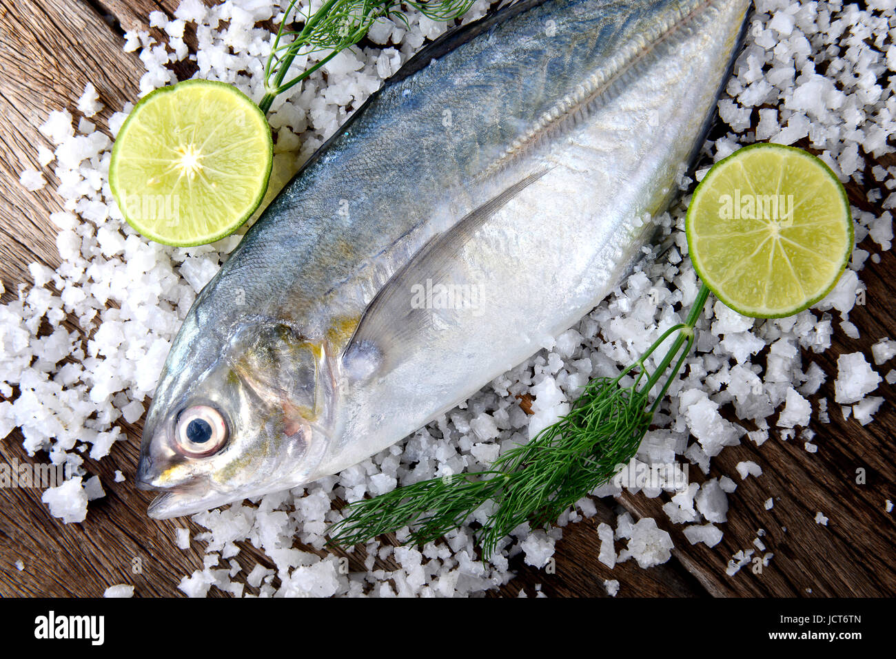 Giant trevally fish hi-res stock photography and images - Alamy