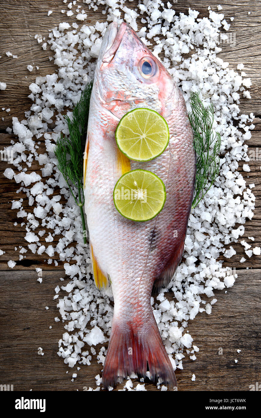 Red snapper underwater fin hi-res stock photography and images - Alamy