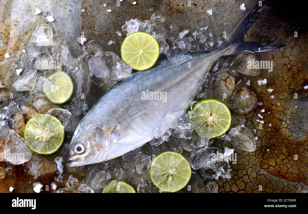 Trevally fish or jack frozen in ice with lemon and salt fresh from ...
