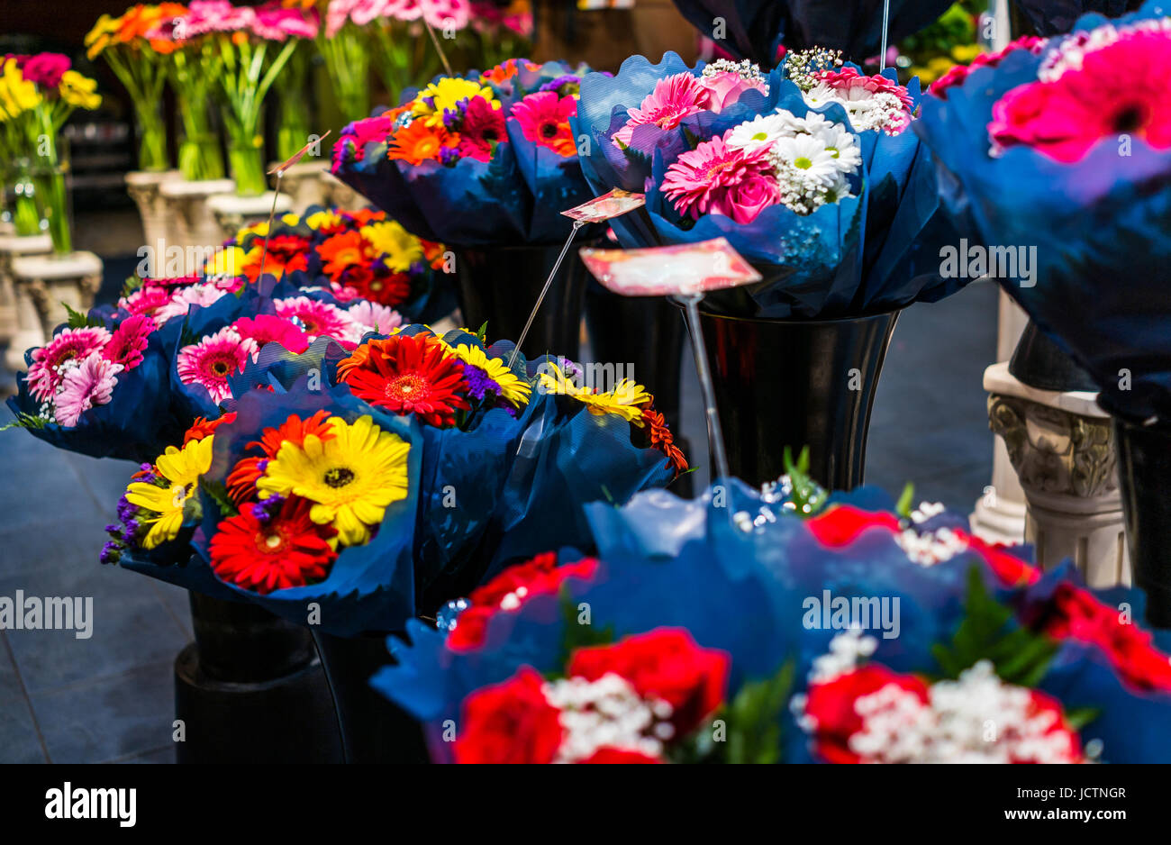 Daisy flower bouquets in blue wrapping paper on display at florist shop ...