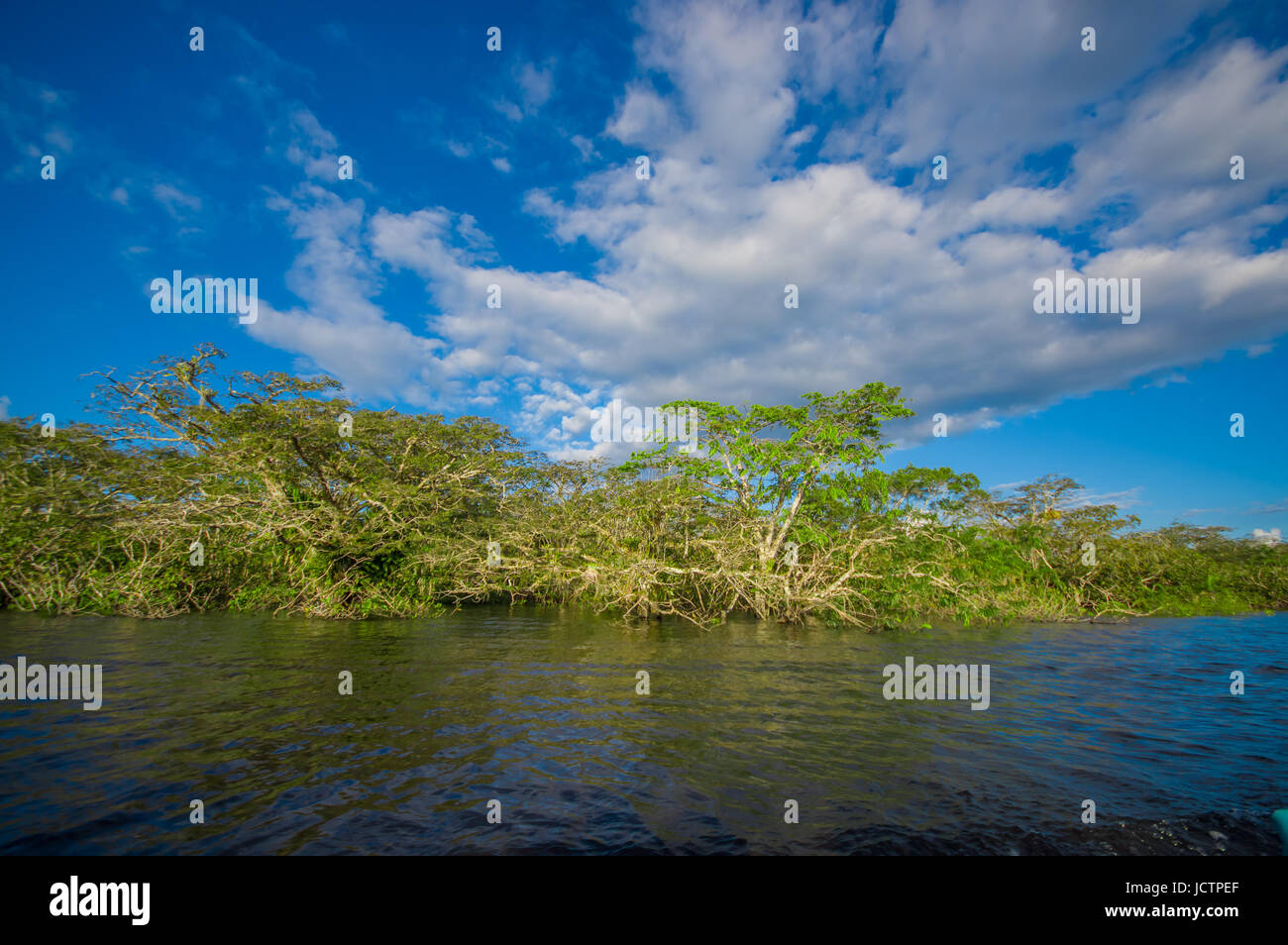 Cuyabeno river, rainforest, terrain of Siona indigenous people ...
