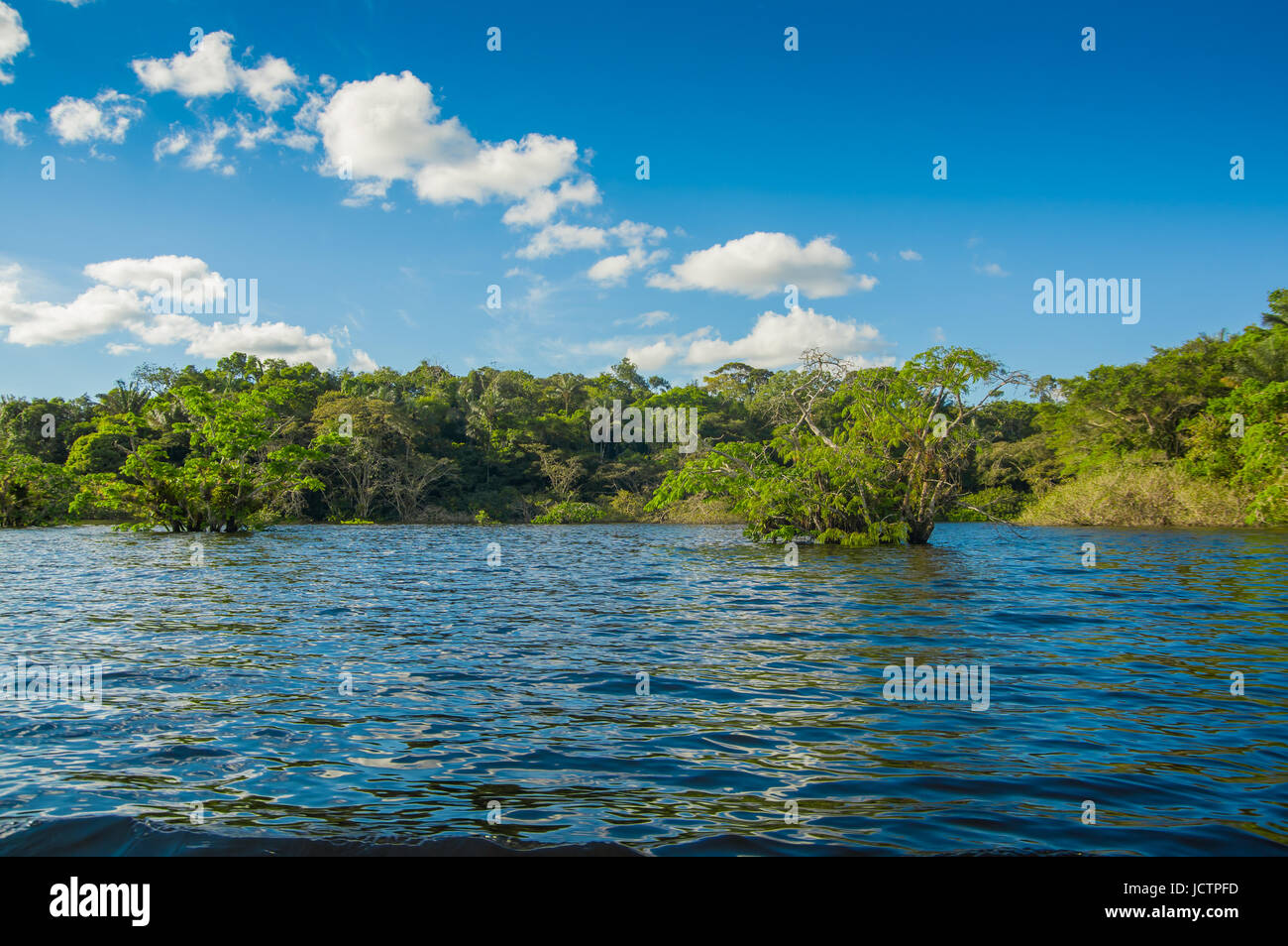 Cuyabeno river, rainforest, terrain of Siona indigenous people ...