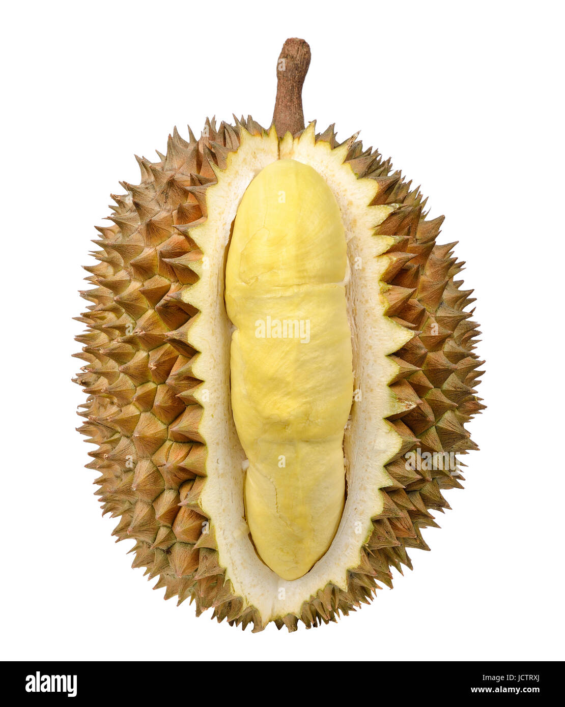 Durian isolated on the white background Stock Photo - Alamy