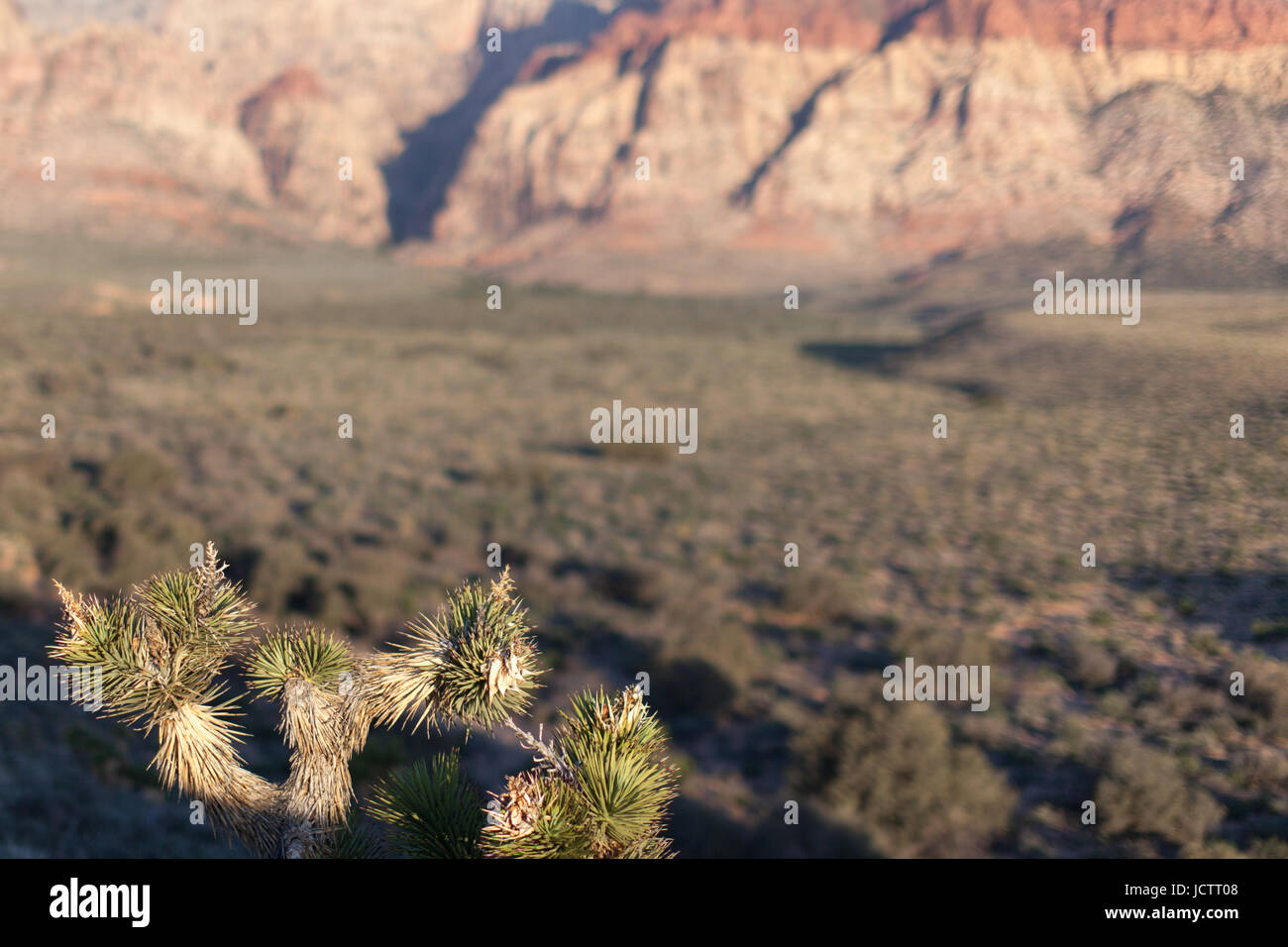 Desert landforms hi-res stock photography and images - Alamy
