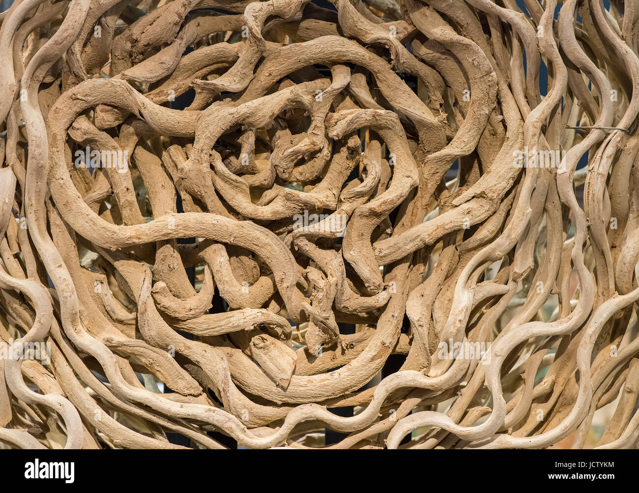 Beautiful Pattern and Texture of Natural Light Brown Ratta Stock Photo ...