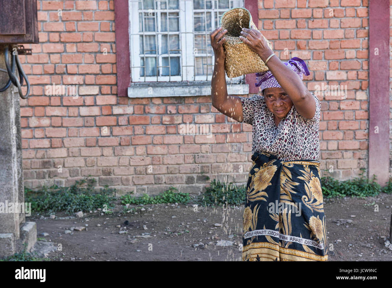 An old woman milling rice in Andasibe, Madagascar Stock Photo - Alamy